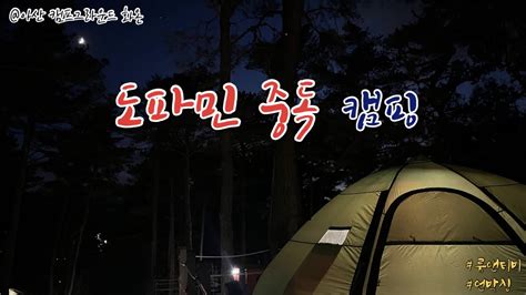 캠핑🏕️ 겨울캠핑이 지루하지 않은 이유 Youtube