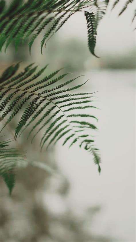 Asiangirlpeeing Videos Download The Best Free 4k Stock Video Footage And Asiangirlpeeing Hd