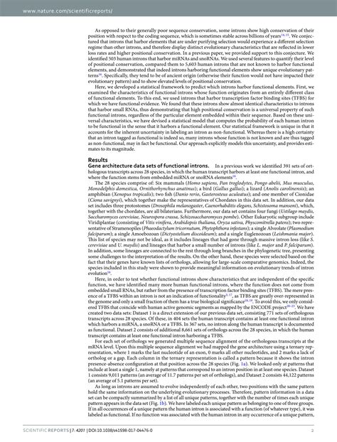 solution identification of introns harboring functional sequence