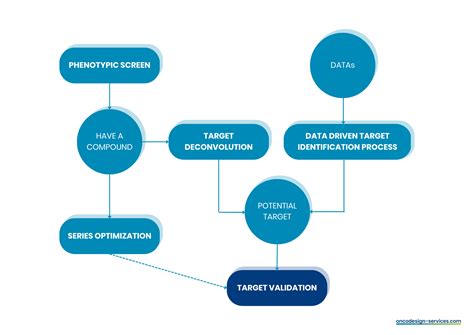 Target Identification Target Validation Cro Services