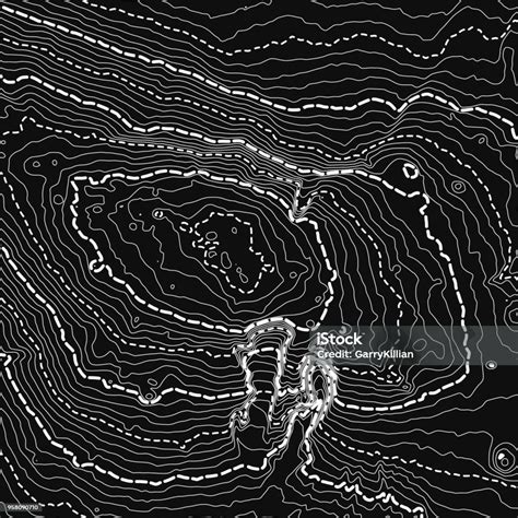 벡터 추상 회색조 지구 구호 지도입니다 생성 된 개념적 상승 지도입니다 아이 소라인 프리 표면 고 각의 지리적 지도 개념적 디자인입니다 프레 젠 테이 션에 대 한 우아한