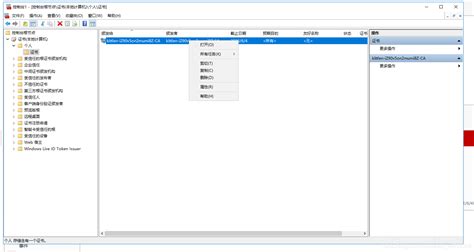 Windows2016添加ad域证书服务andjava导入证书2016 Ad域证书 Csdn博客 Windows2016添加ad域证书服务andjava导入证书2016 Ad域证书 Csdn博客