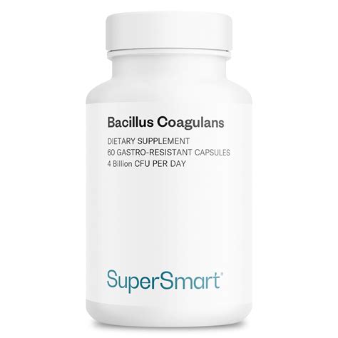 Supersmart - Bacillus Coagulans Probiotic 4 Billion CFU per Day ...