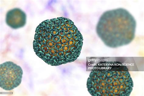 Rift Valley Fever Virus Particles Illustration High Res Vector Graphic Getty Images