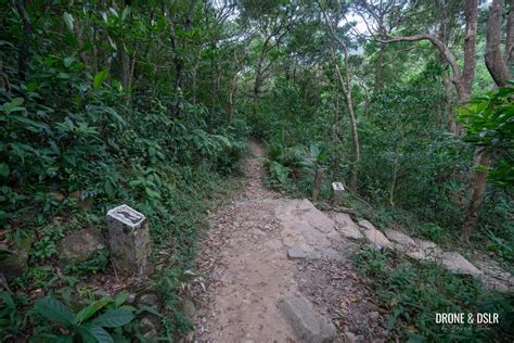 tung yeung shan hike secluded silvergrass summit drone and dslr