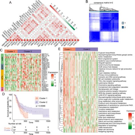Rna Modification Patterns Based On Major Rna Modifications Define Tumor