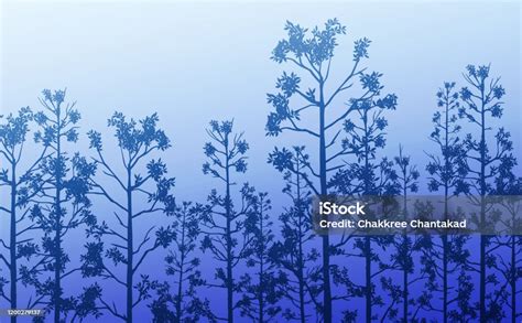 자연 숲 나무 산 수평선 언덕 실루엣의 나무와 언덕의 저녁 일출과 일몰 풍경 벽지 일러스트 벡터 스타일 다채로운보기 배경 0명에 대한 스톡 벡터 아트 및 기타 이미지