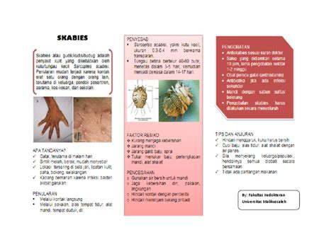 Leaflet Scabies Pdf
