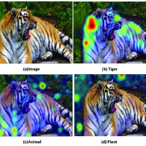 A Is The Original Image Of Object Detection Verification While B D