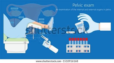 Cold Knife Cone Biopsy Loop Electrosurgical Stock Vector Royalty Free 1510916168 Shutterstock