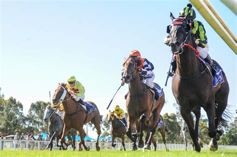 Sentrack Friday Best Bets From Miles Pfitzner And Campbell Brown 15 11