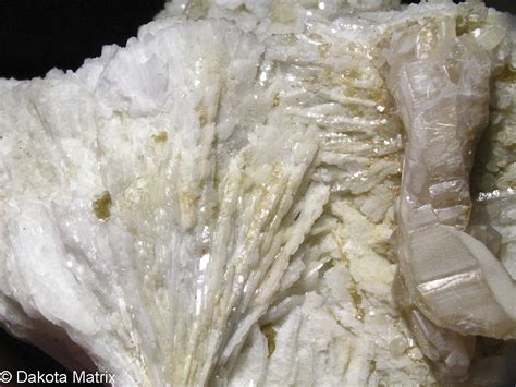 Albite Mineral Specimen For Sale