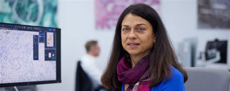 Roche Digital Pathology Open Environment