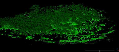 Lidar Point Cloud Classification Lidar Drone Australia
