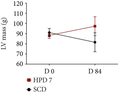 cardiovascular phenotype of the ckd model echocardiography was