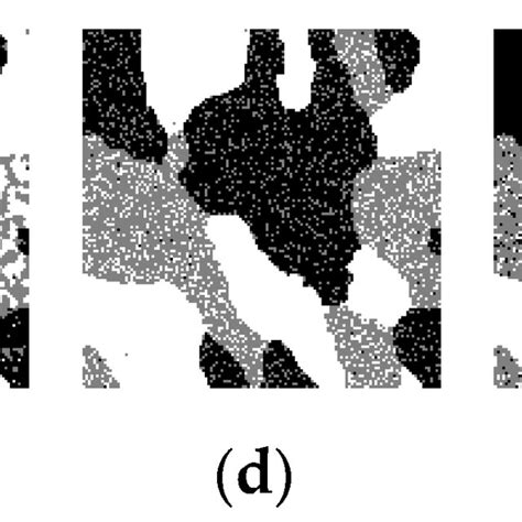 the segmentation results of the simulated image a hmrf algorithm