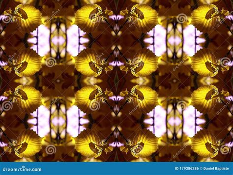 Fractal Leaves Stock Illustration Illustration Of Fractal 179386286