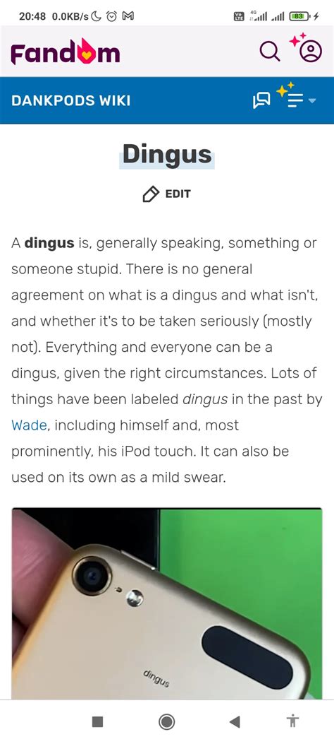 What Does Dingus Really Mean R Dankpods