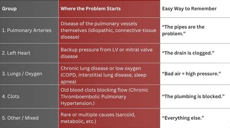 Understanding Pulmonary Hypertension In Echo What Every Clinician