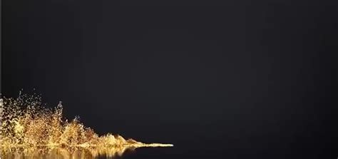 Shashi Bhushan Pandey On Linkedin Now Present In India After Uae🤝