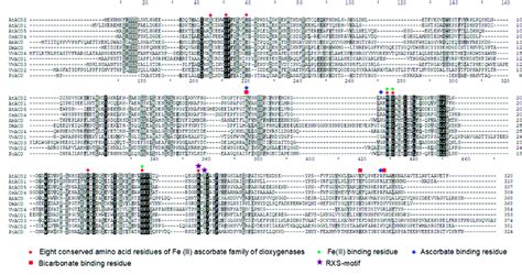 Selected Functional Aco Protein Sequence Alignment Of Mushrooms Slime