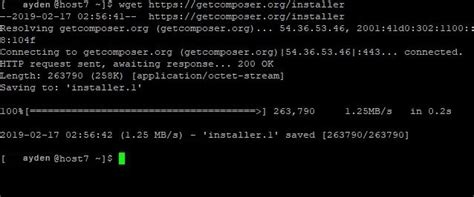 Installing Laravel On Cpanel Through Ssh