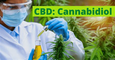 Cbd Abbreviation What Does Cbd Stand For