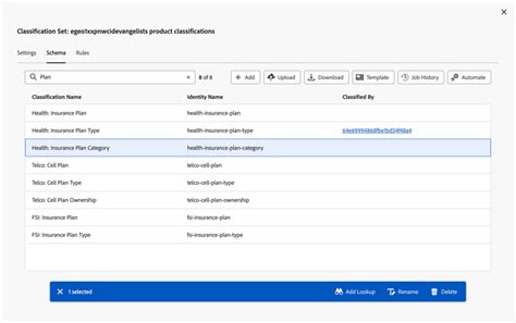 Classification Set Schema Adobe Analytics