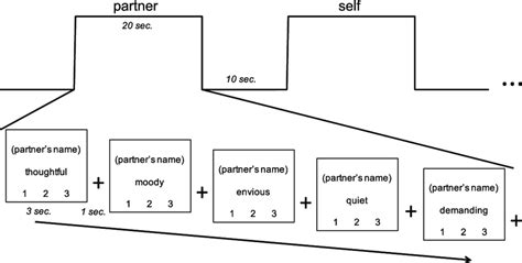 behavioral paradigm involving trait judgment task for social others