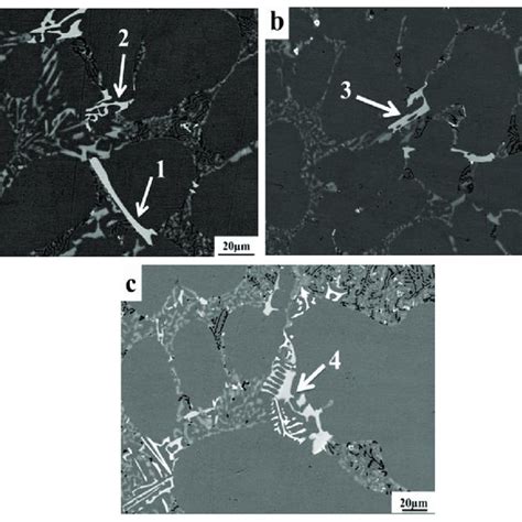 Sem Micrographs Identifying The Particles Associated With The Shrinkage