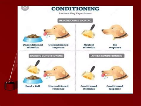 Pavlov S Classical Conditioning Pptx