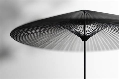 Timeless Monochrome Aesthetic With Copy Space For Minimalist Design Symmetrical Composition