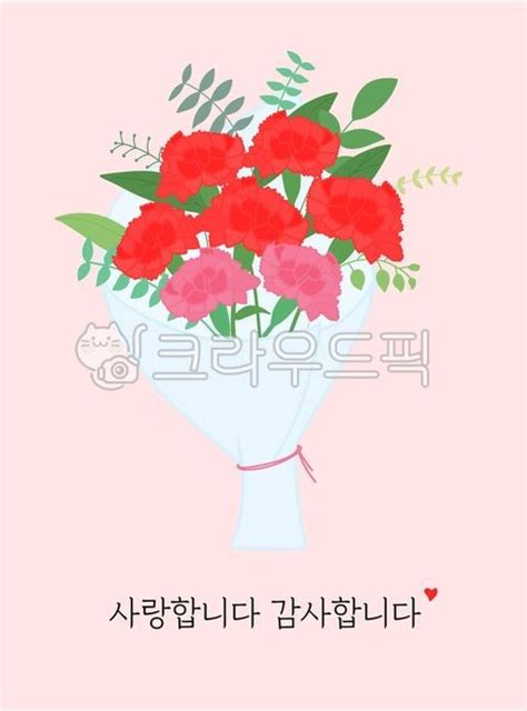 어버이날 스승의날 카네이션 카네이션일러스트 꽃다발 사진 이미지 일러스트 캘리그라피 냐옹친구작가