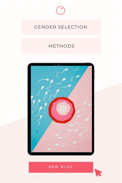 Expert Guide To Ivf Gender Selection Methods Pgt Sperm Sorting