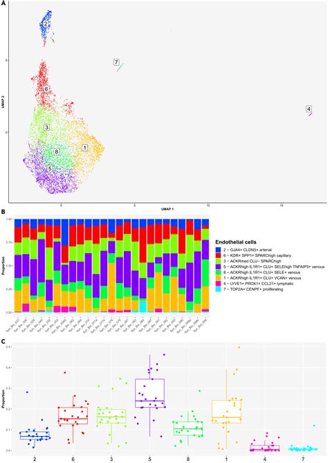 Molecular Maps Of Synovial Cells In Inflammatory Arthritis Using An