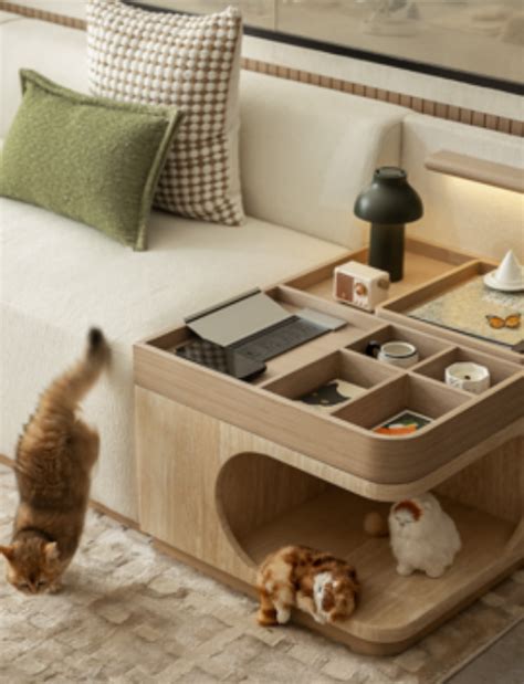 This Modular Cat Furniture Is Designed To Be A Lounge For You And Your