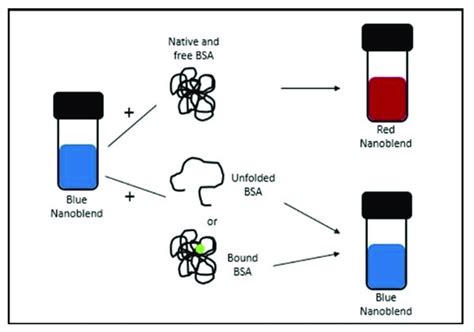 Colorimetric Response Of The L64 Nanosensor To The Different Forms Of Download Scientific