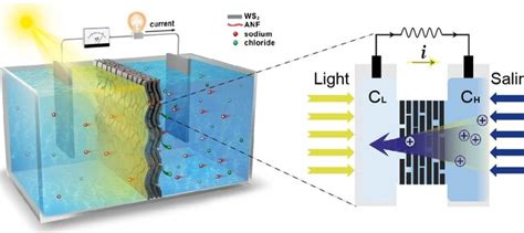 Efficient Solar‐osmotic Power Generation From Bioinspired Anti‐fouling