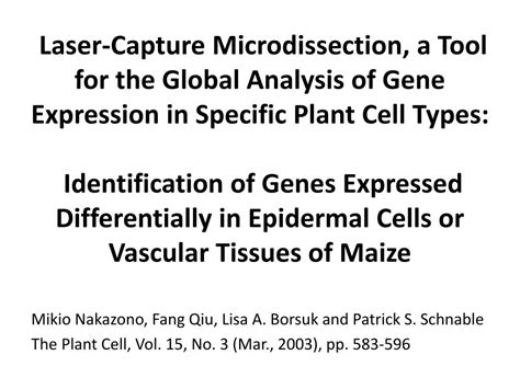 PPT Laser Microdissection Case Study PowerPoint Presentation Free Download ID