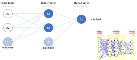 Neural Networks Flashcards Quizlet