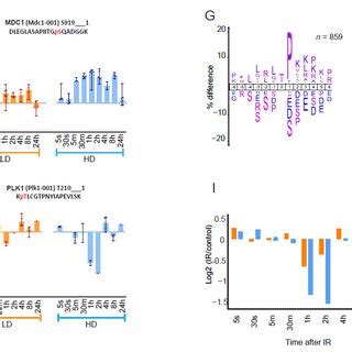 Dynamics Of DDR Signaling Cascades In DSB Repair Deficient Cells A Download Scientific