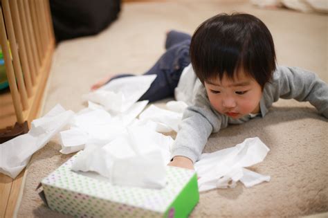 子どものいたずらの正しい注意の仕方と対策は? 発達心理学者が回答 Web げんき|講談社 子どものいたずらの正しい注意の仕方と対策は? 発達心理学者が回答 Web げんき|講談社