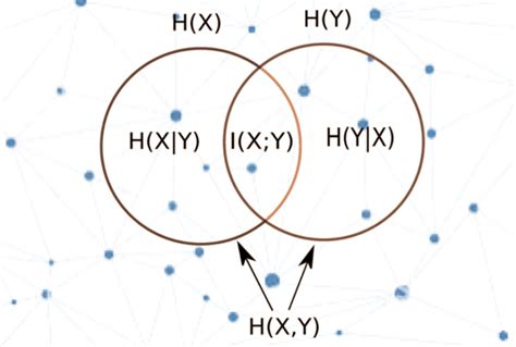 Applying Transfer Entropy To The Eeg Sapien Labs Neuroscience
