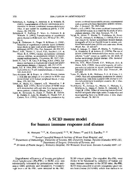 Pdf A Scid Mouse Model For Human Immune Response And Disease