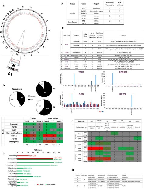 Comprehensive Analysis Of Transcriptome Profiles In Hepatocellular Carcinoma Pmc