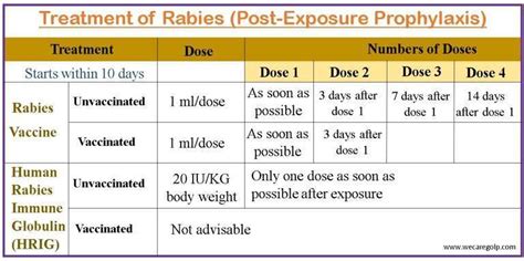 Rabies Causes Symptoms Management We Care