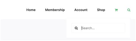 How To Add Search Form To The Navigation Menu