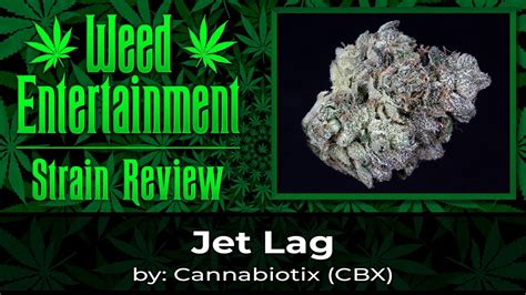 Jet Lag By Cannabiotix CBX Strain Review March 2023 YouTube