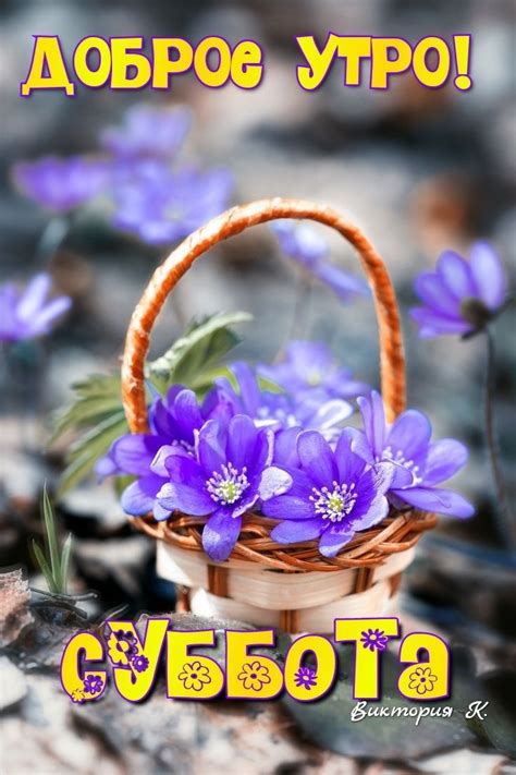 Доброе утро Суббота