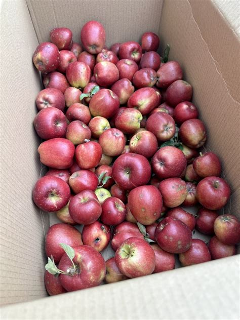 We Have Picked A Lot Of Ams1 Blipfoto